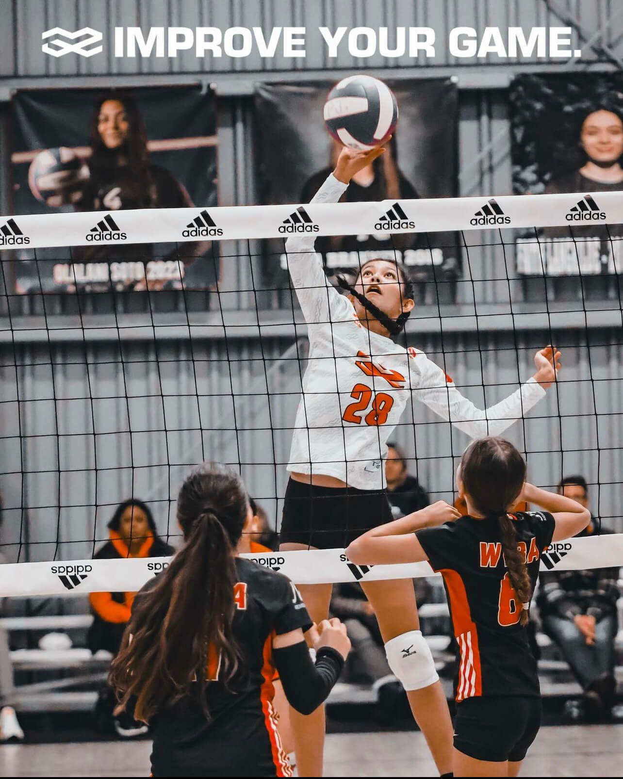 Stream – Follow Me Fest